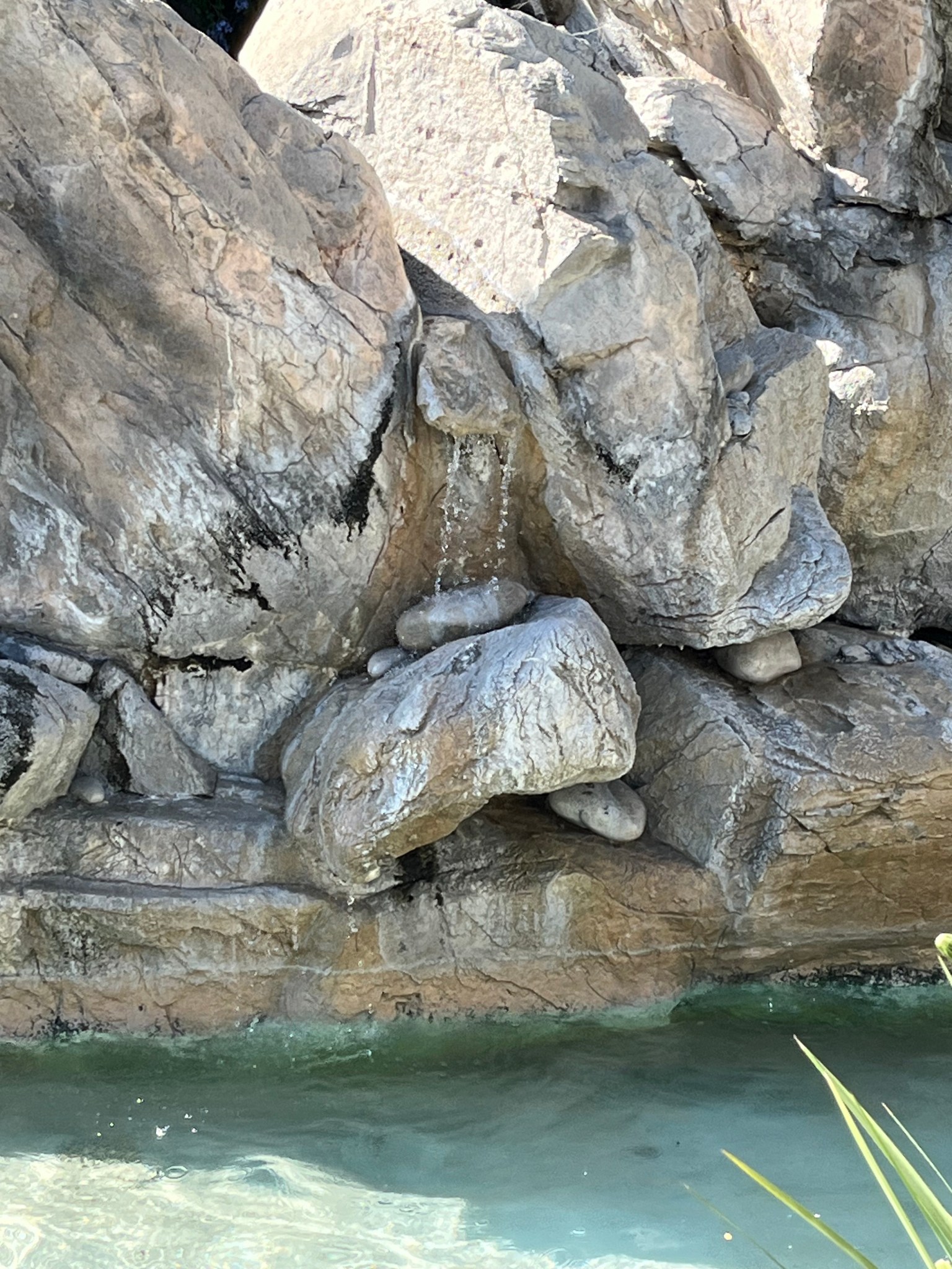 Author Monica Cane | Sharing Words That Inspire